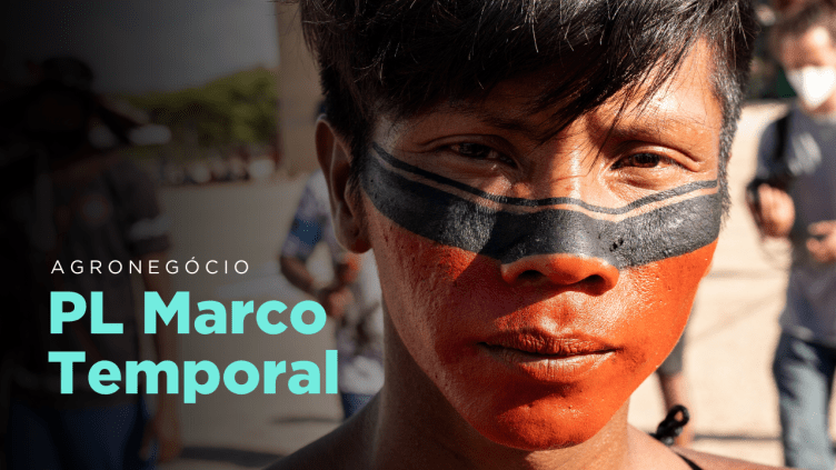 Quais os impactos do Marco Temporal para o Brasil? | Maragno Advogados